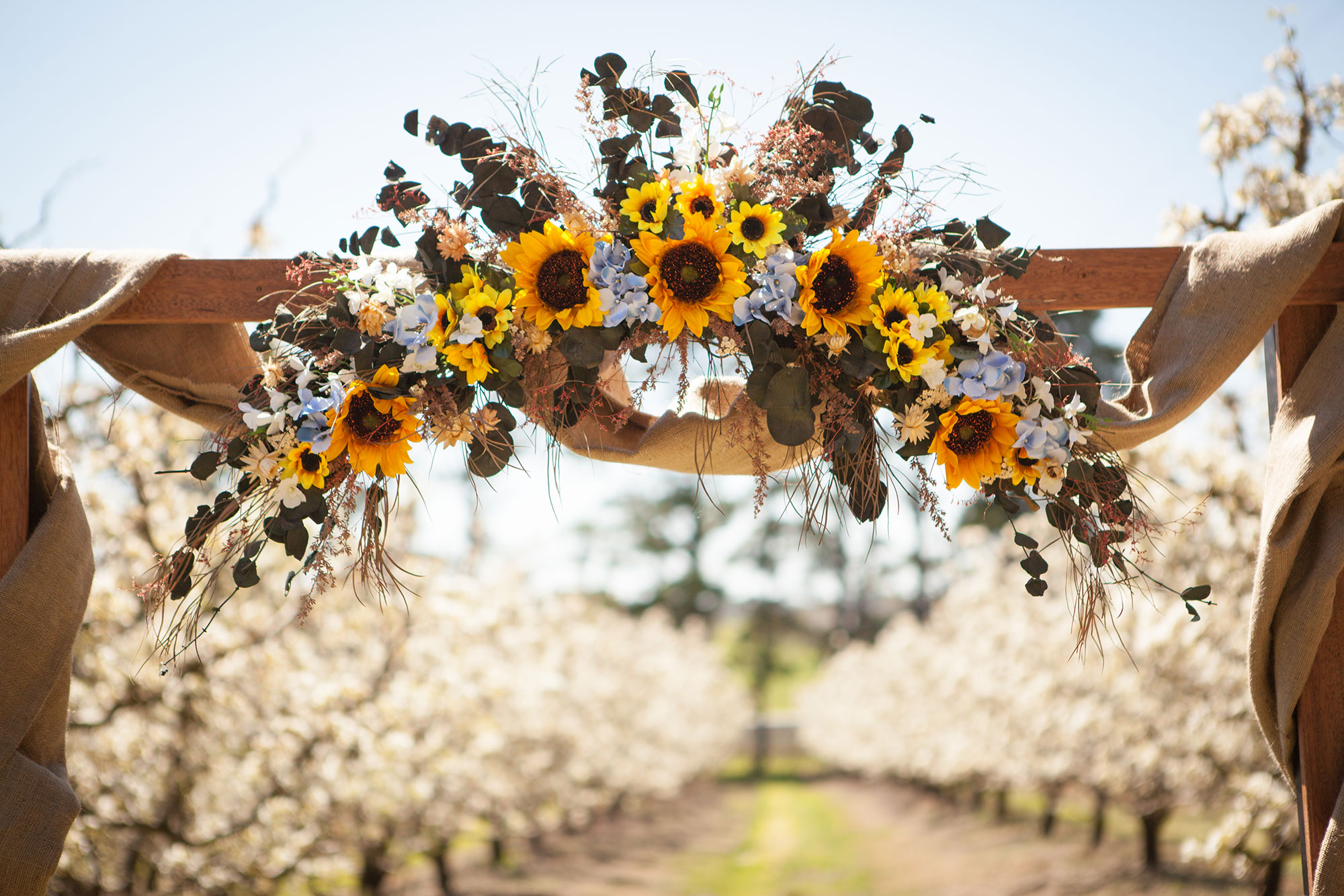 Paracombe Premium Perry – ‘Bringing you the finest South Australian Perry’